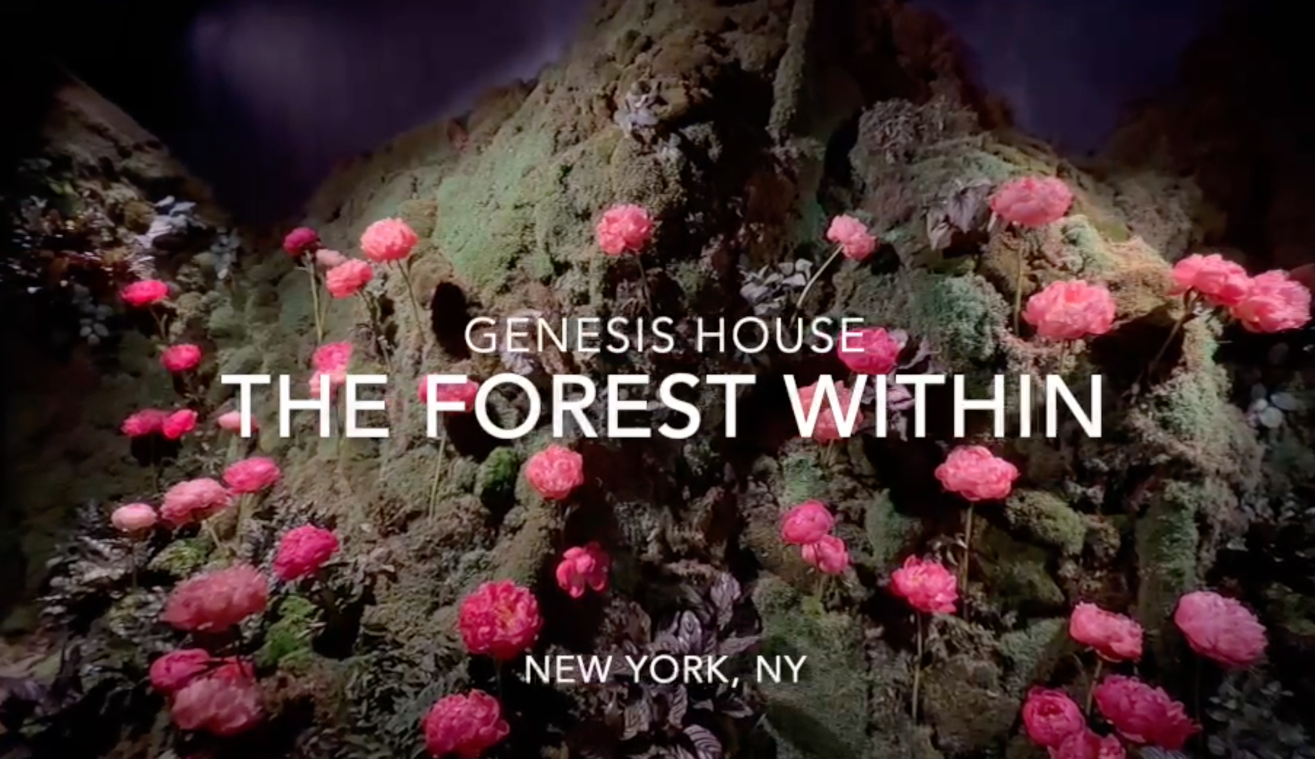 The Forest Within at Genesis House | TRITECH Comm